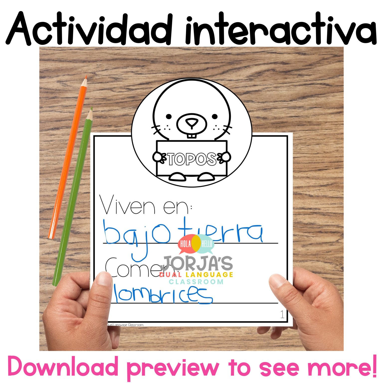 Investigación de animales Reporte en español Animal Research in Spanish ...