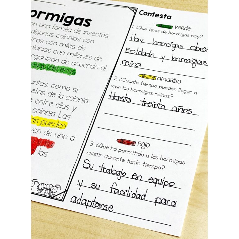 Spanish Reading Comprehension Lectura de comprensión en español textos ...