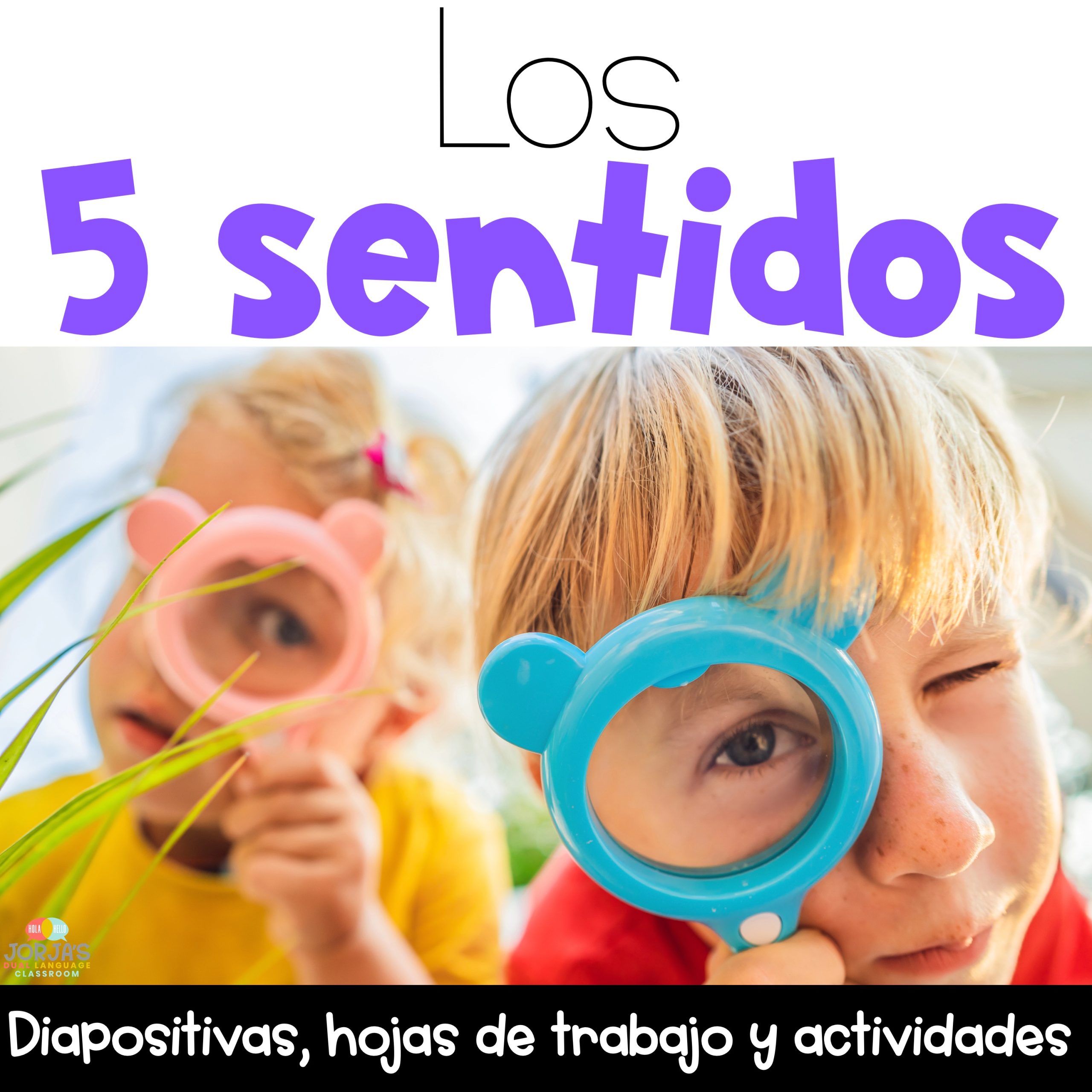 Los 5 sentidos Actividades y hojas de trabajo en español 5 senses in ...