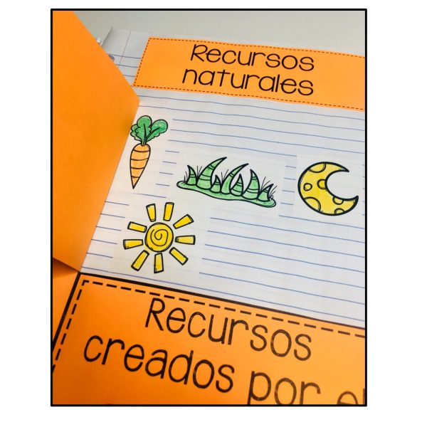 Science Interactive Notebook Spanish Cuaderno Interactivo de Ciencias ...