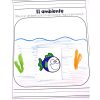 Elementos del cuento Actividades Hojas de trabajo Story Elements in ...