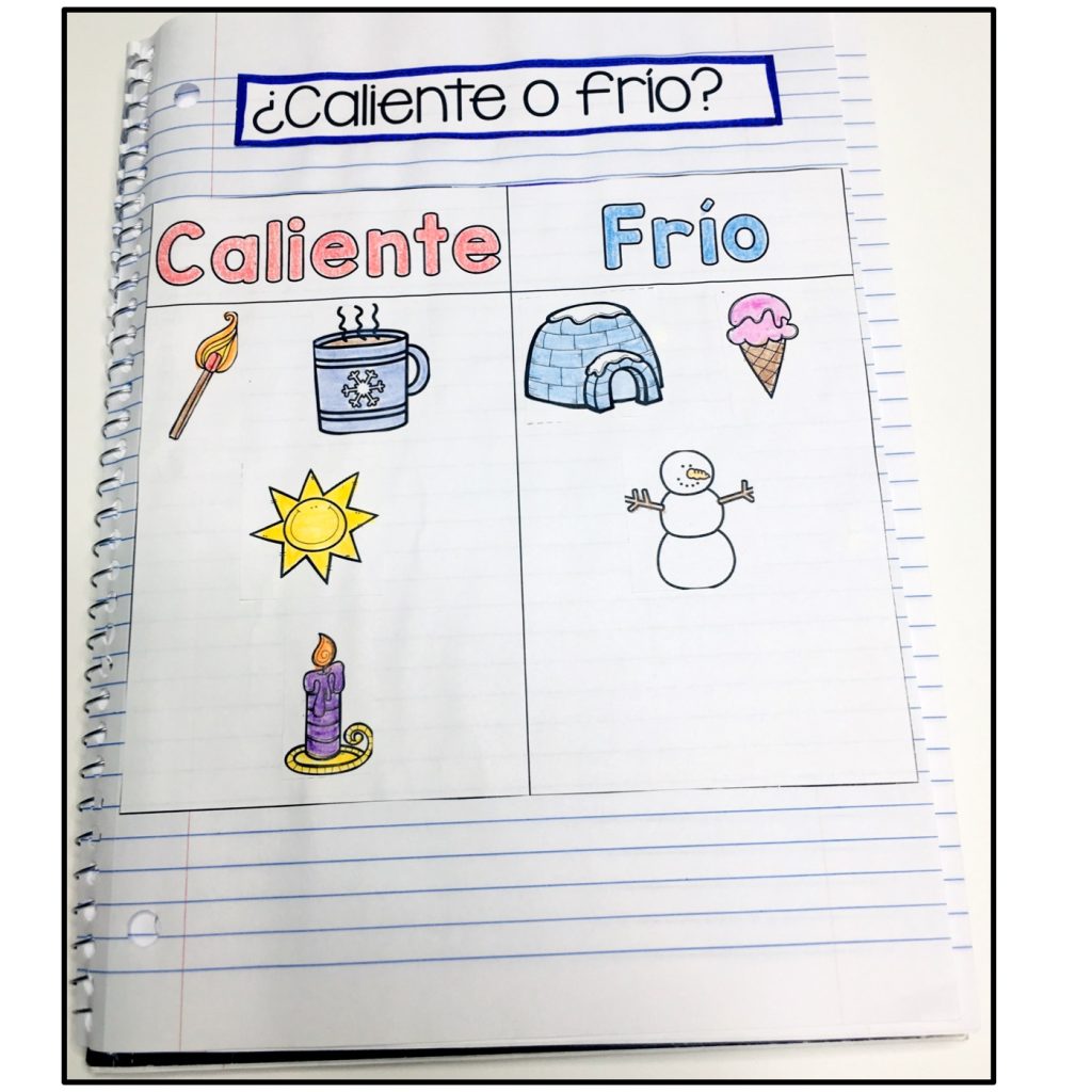 Science Interactive Notebook Spanish Cuaderno Interactivo de Ciencias ...