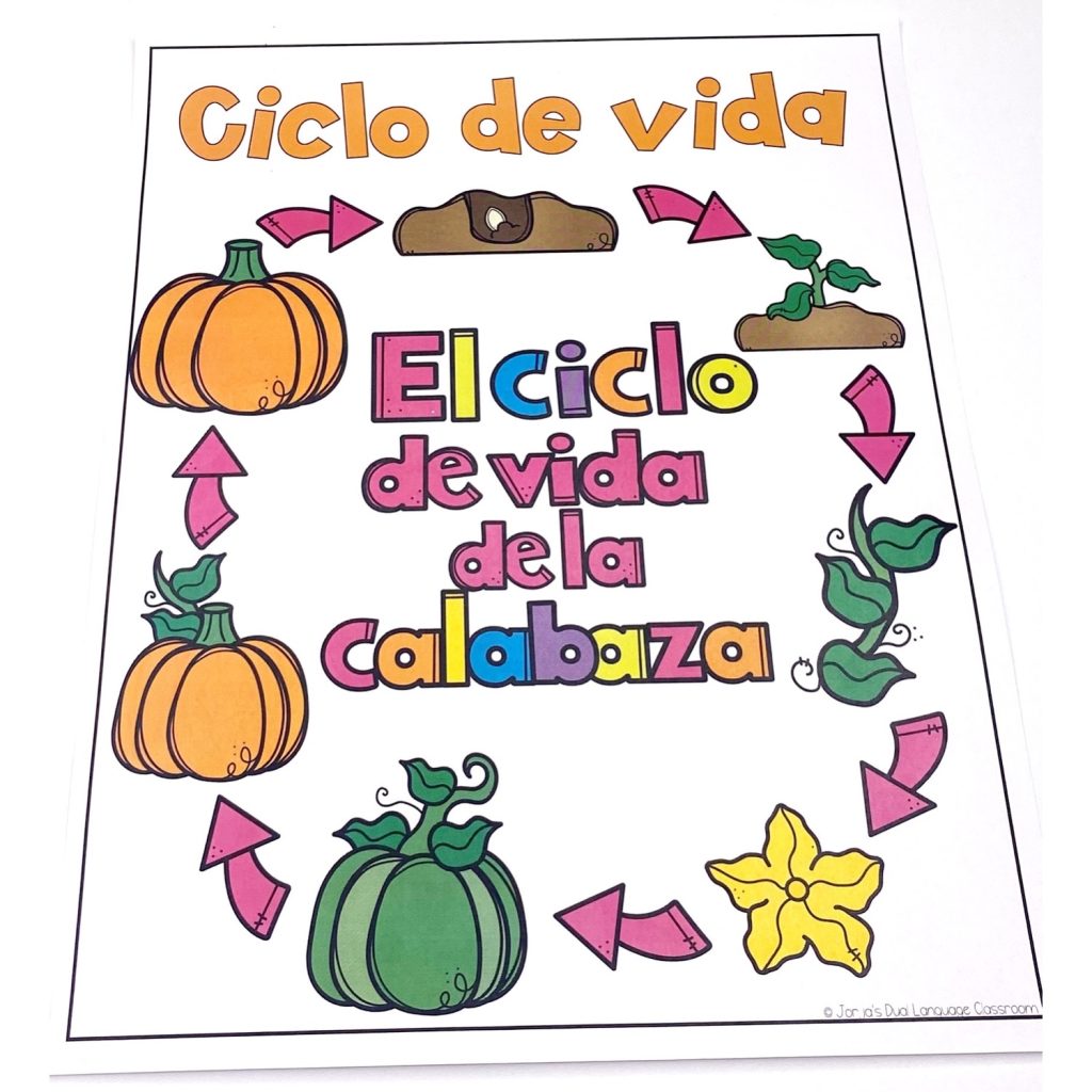 Calabazas Actividades y Hojas de trabajo Pumpkins in Spanish Activities ...
