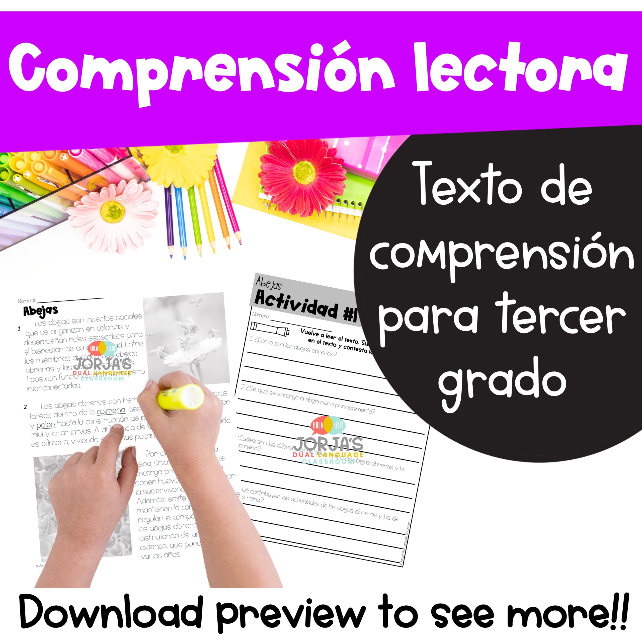 Lectura de comprensión en español 3er grado Abejas Comparar y ...