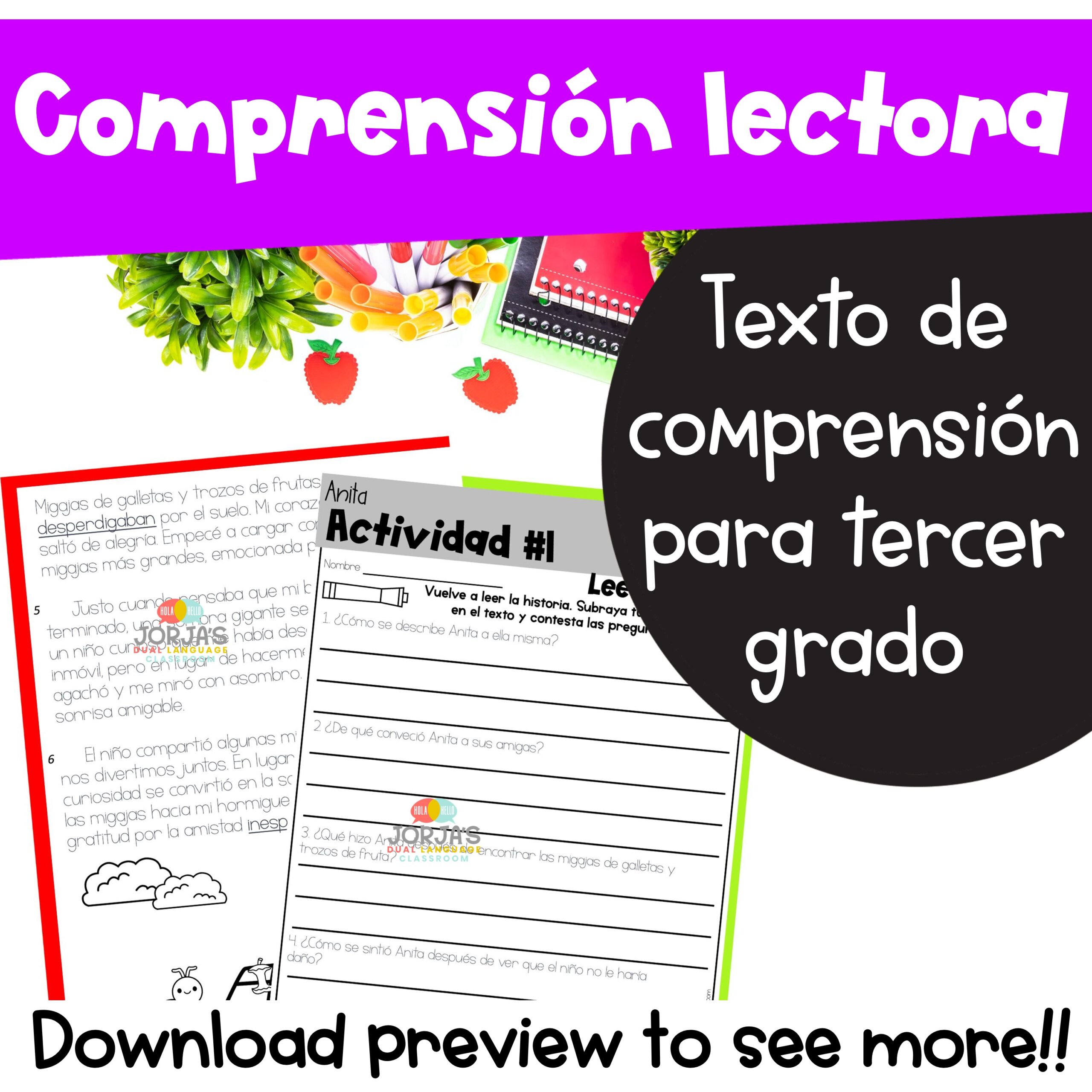Anita Point of View in Spanish Third Grade Comprehension Text and ...